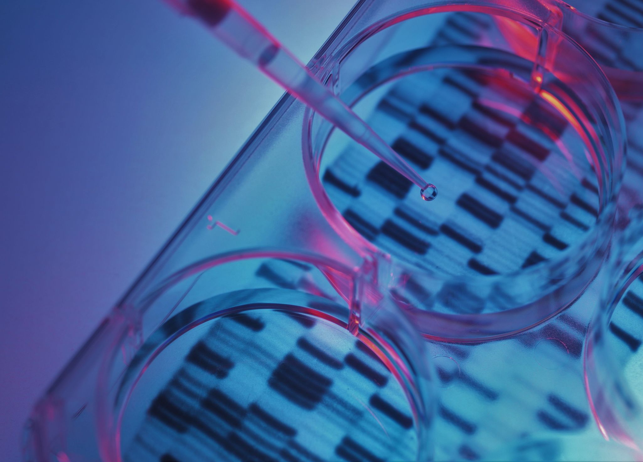 Phoenix 2025: The Medical Device & Diagnostics Conference for CEOs ...