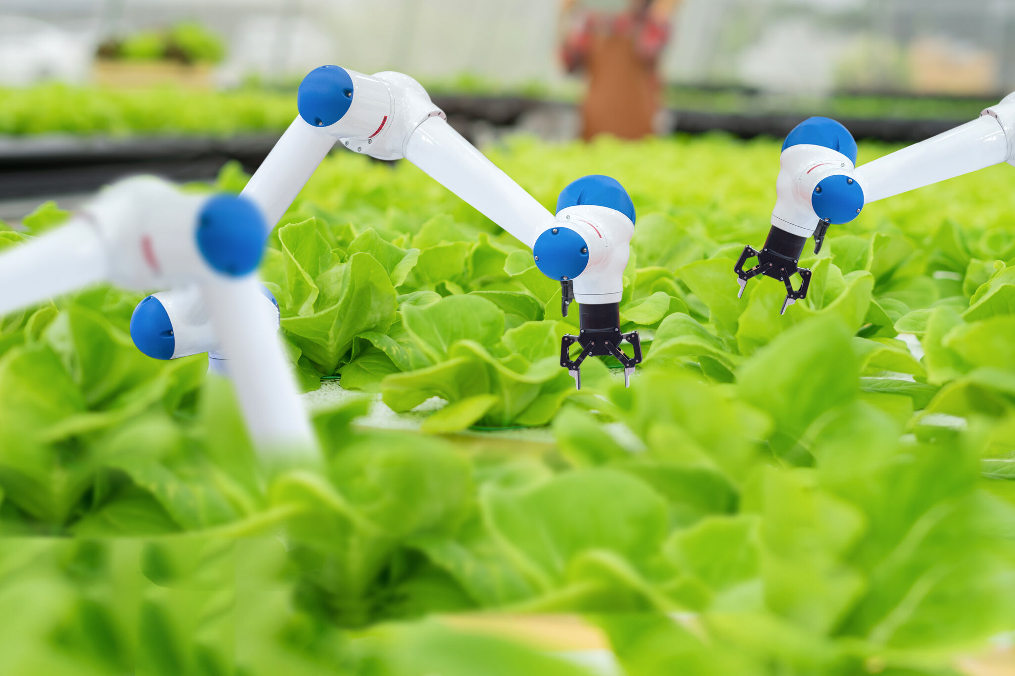 Wilson Sonsini Advises Bonsai Robotics on $15 Million Series A | Wilson ...