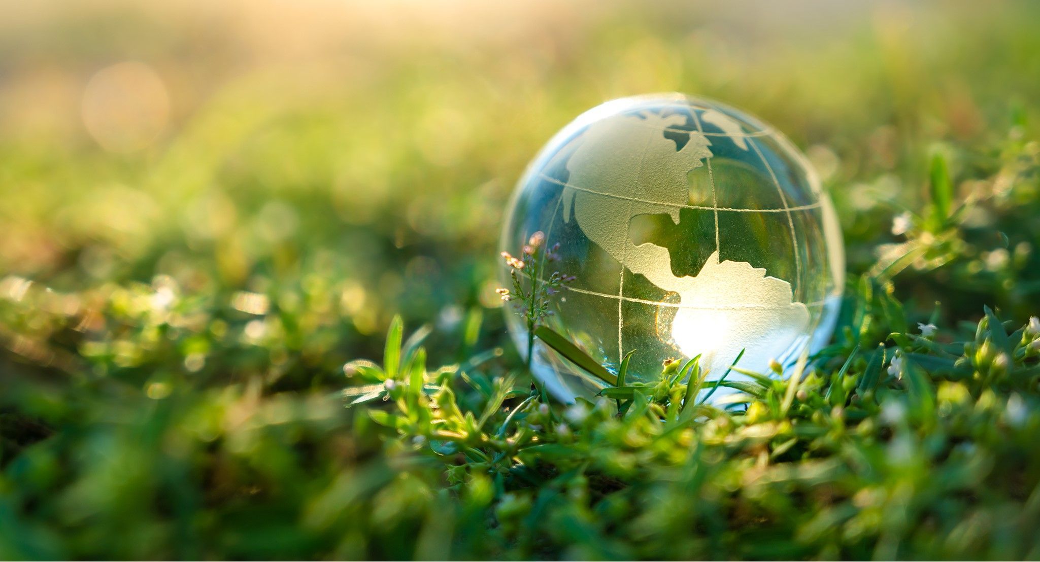 Sustainability and Decarbonization | Wilson Sonsini